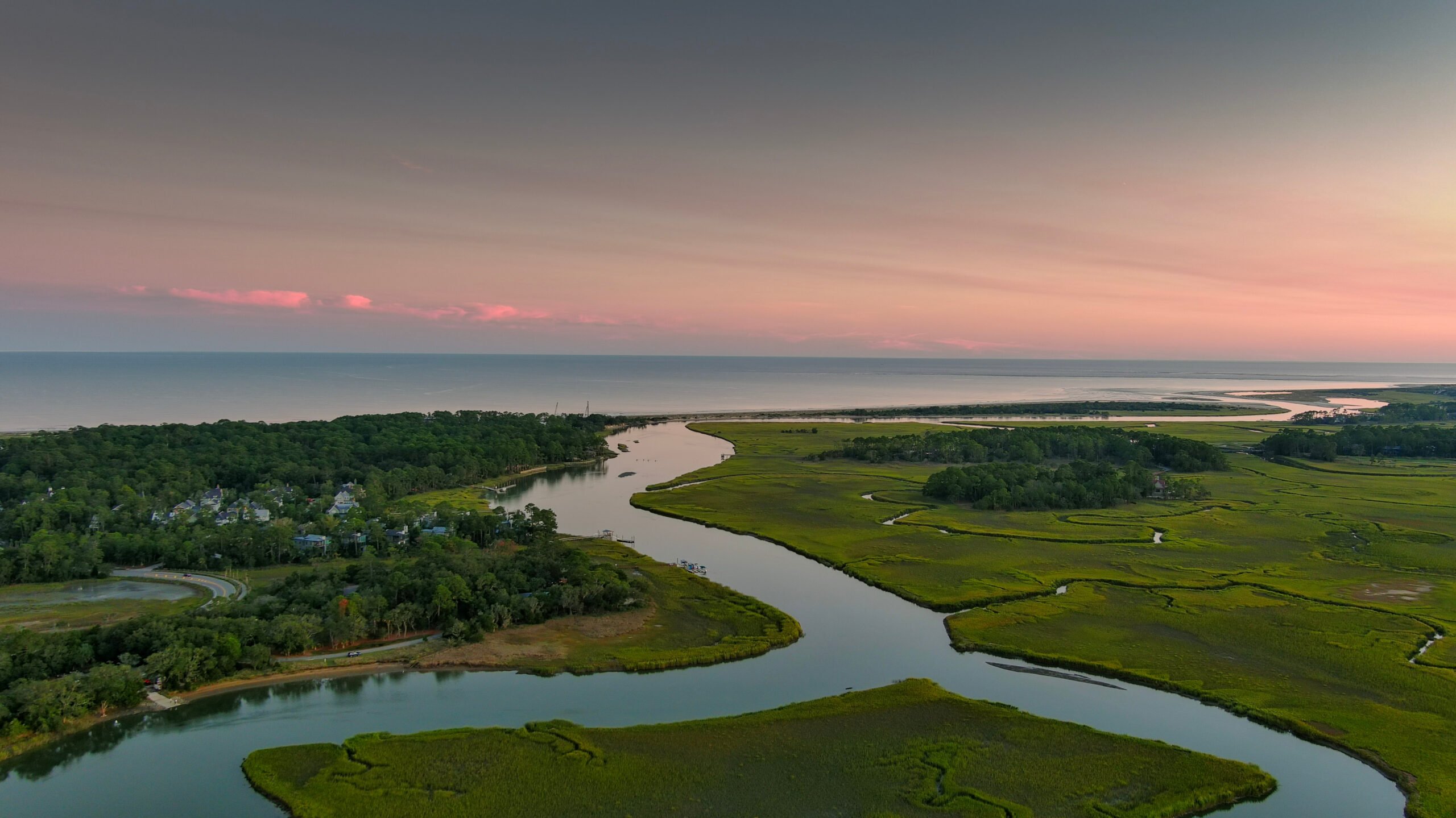 4 Fascinating Ecosystems: Kiawah Island Plants and Animals